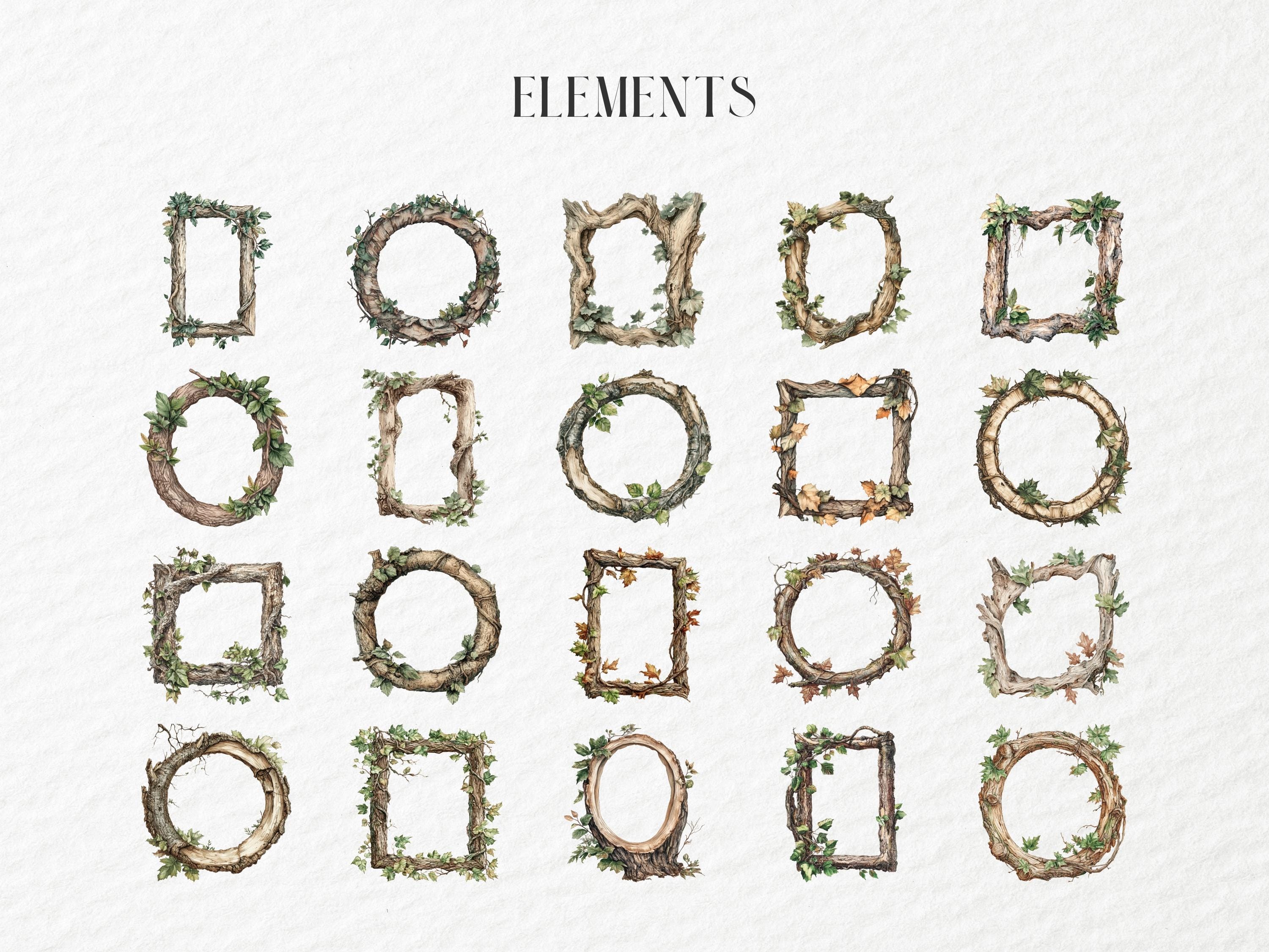 Watercolor Woodland Frames Clipart, Rustic Tree Branch Borders, Forest ...