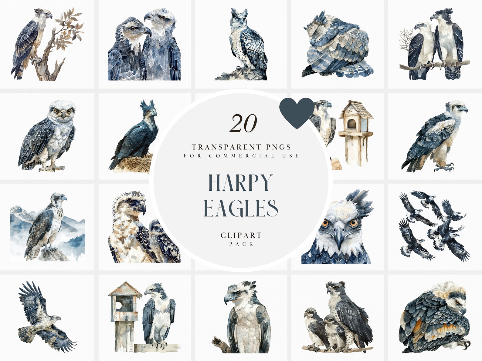 Watercolor Harpy Eagle Clipart, Flying Royal Hawk Clipart, Bird of Prey ...