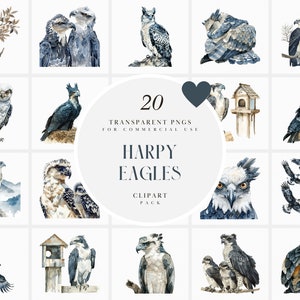Watercolor Harpy Eagle Clipart, Flying Royal Hawk Clipart, Bird of Prey ...