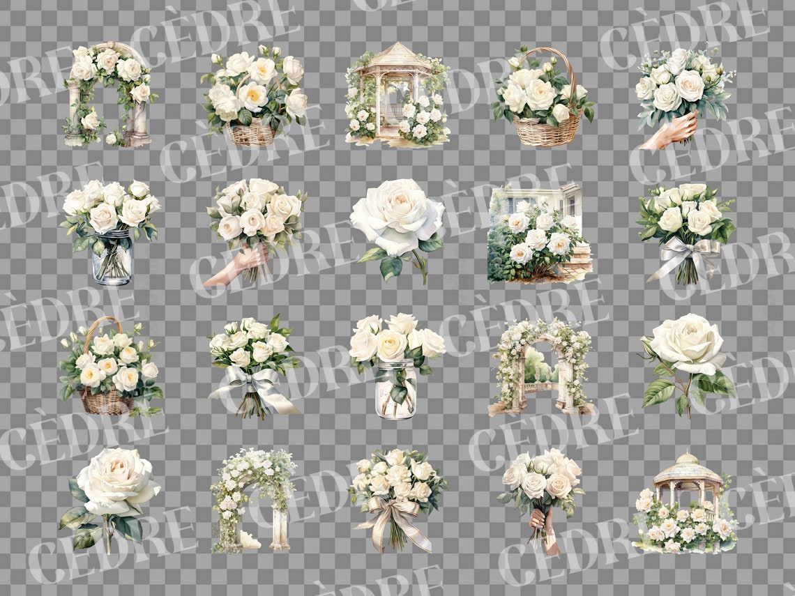 Watercolor White Rose Clipart, Bridal White Roses Clipart, Wedding ...