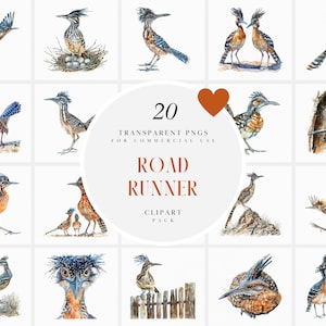Watercolor Roadrunner Clipart, Running Roadrunners Clipart, Birds, Cute ...