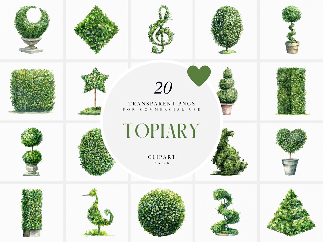 Watercolor Topiary Clipart, Potted Topiary Planter Clipart, Garden ...