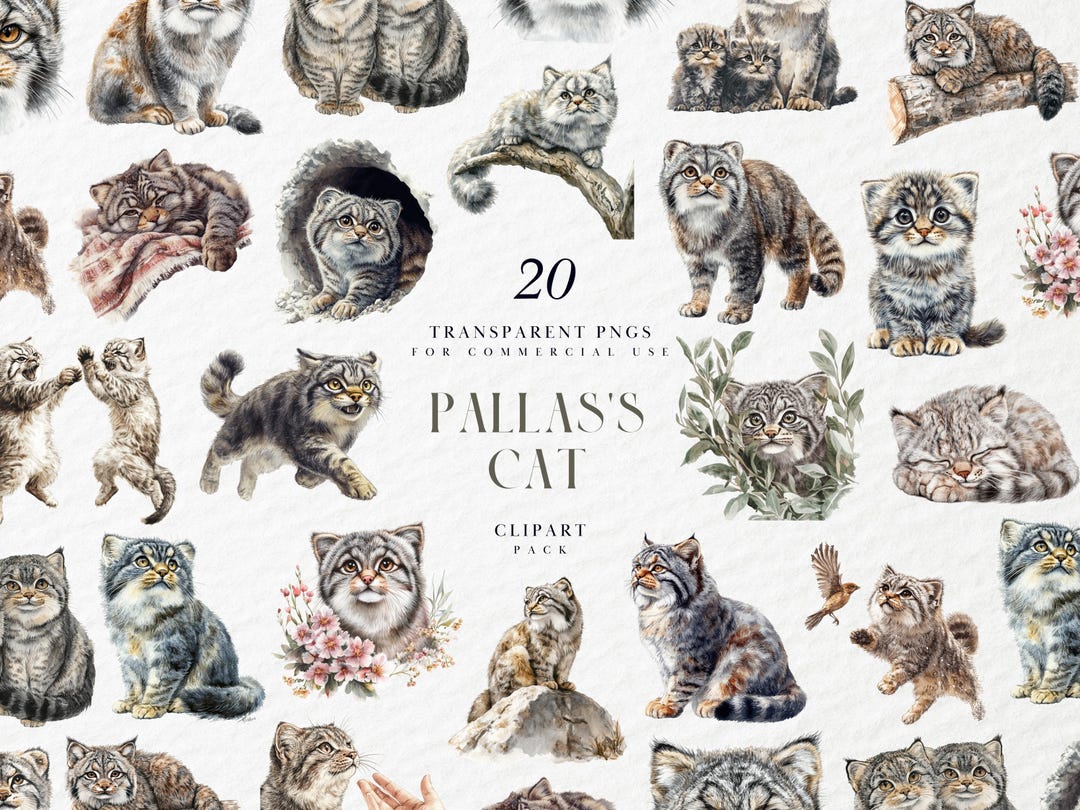 Watercolor Pallas Cat Clipart, Manual Small Wild, Asian Tropical ...