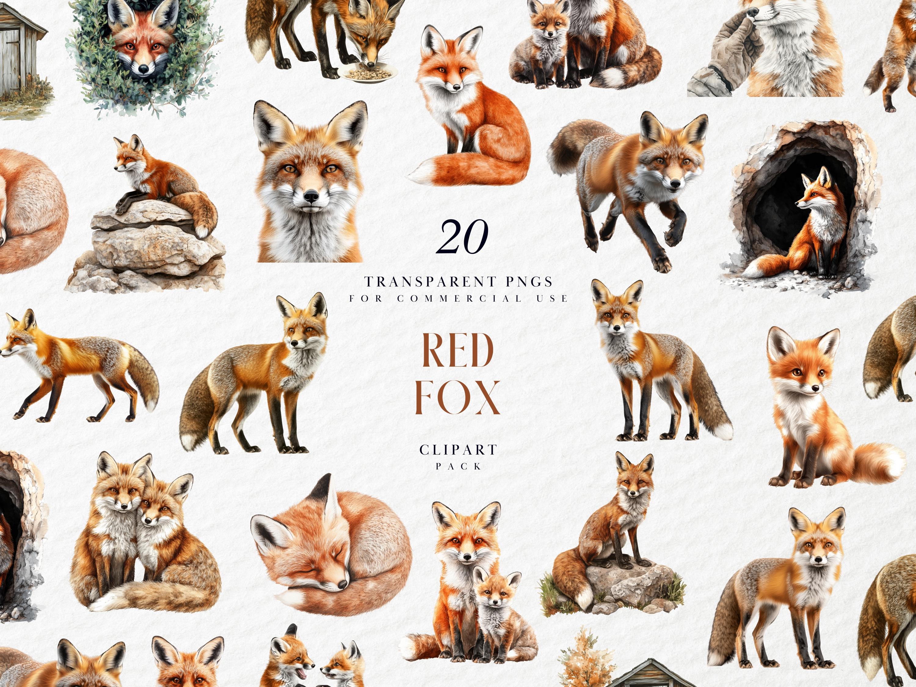 Watercolor Red Fox Clipart, Red Foxes Clipart, Woodland Fox Clipart ...