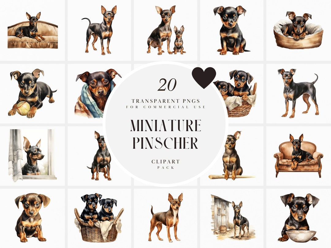 Watercolor Miniature Pinscher Clipart, Miniature Pinschers Clipart ...