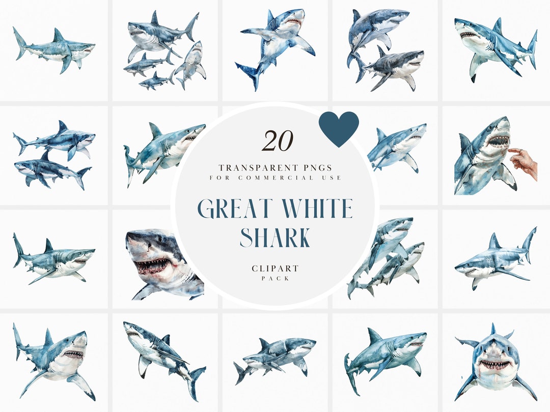 Watercolor Great White Shark Clipart, Sharks Clipart, Swimming Marine ...
