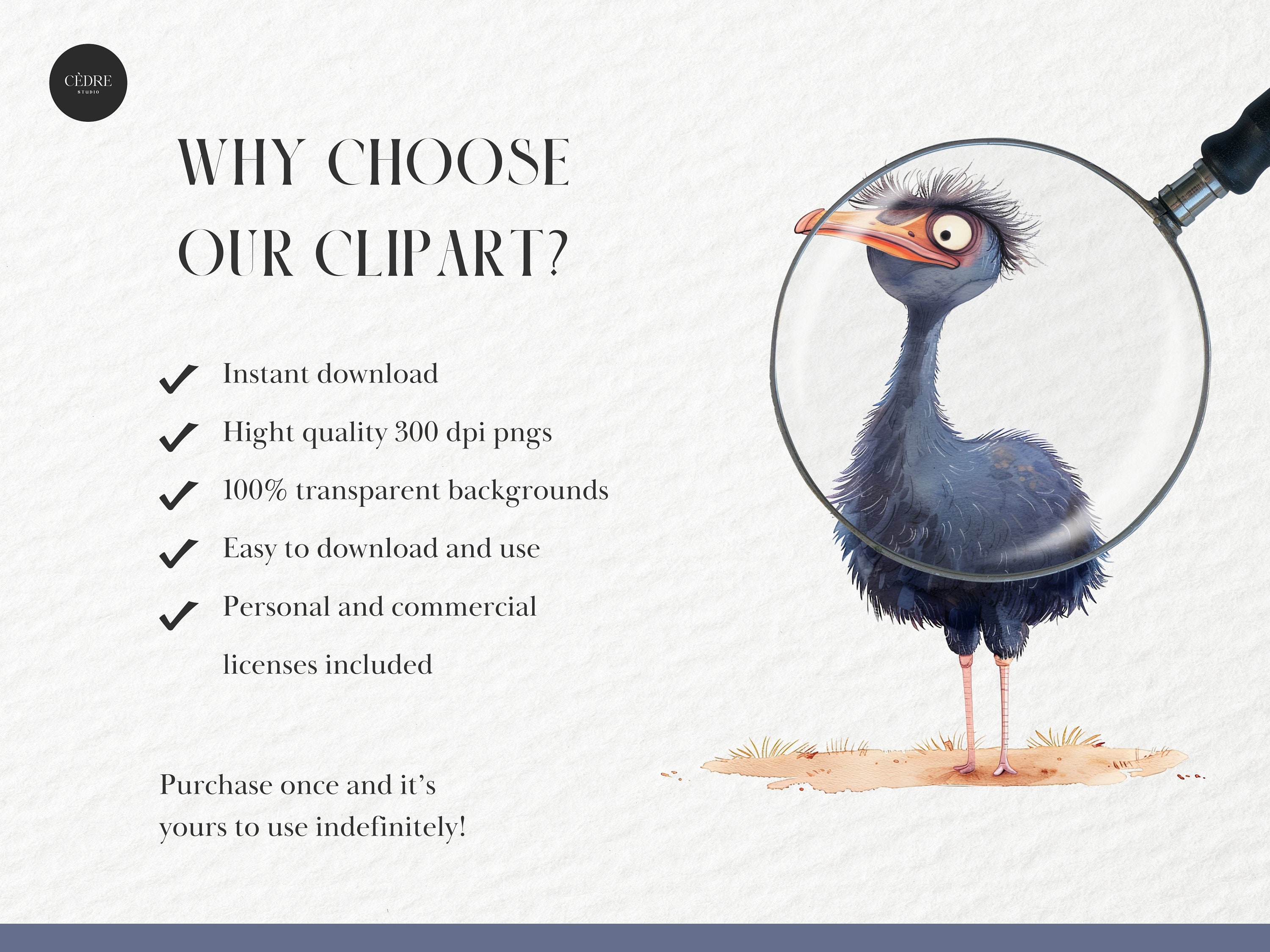 Watercolor Quirky Bird Clipart, Cute Funny Birds Clipart, Whimsical ...