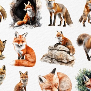 Watercolor Red Fox Clipart, Red Foxes Clipart, Woodland Fox Clipart ...