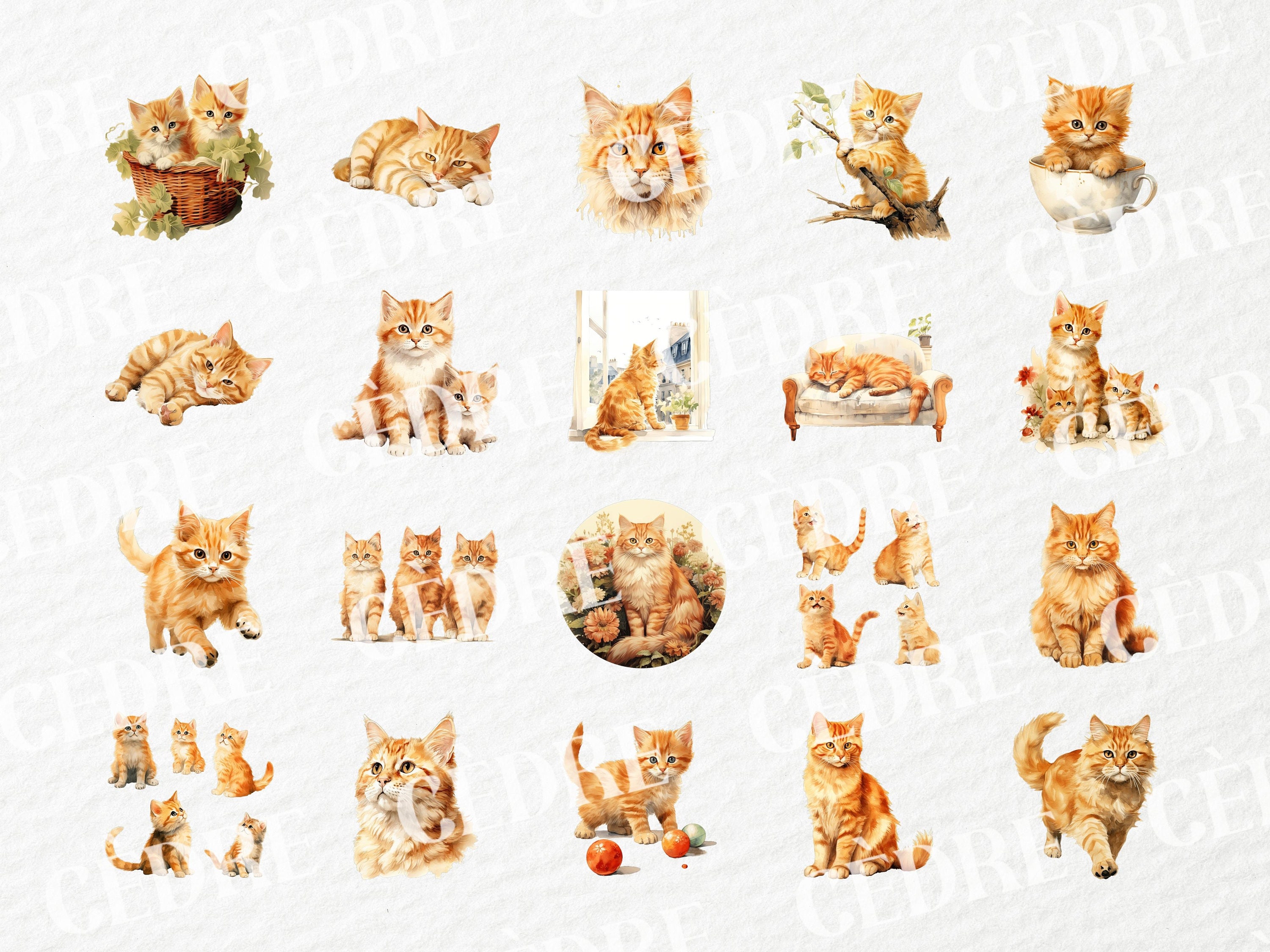 Watercolor Orange Cat Clipart, Cute Orange Cats Clipart, Pet Home Cat ...