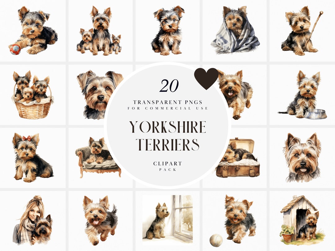 Watercolor Yorkshire Terrier Clipart, Yorkie Clipart, Yorkie Puppy Dog ...