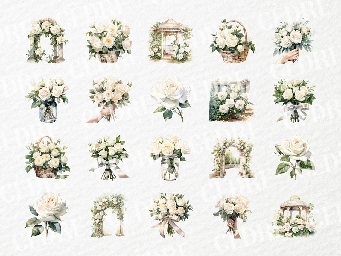 Watercolor White Rose Clipart, Bridal White Roses Clipart, Wedding ...