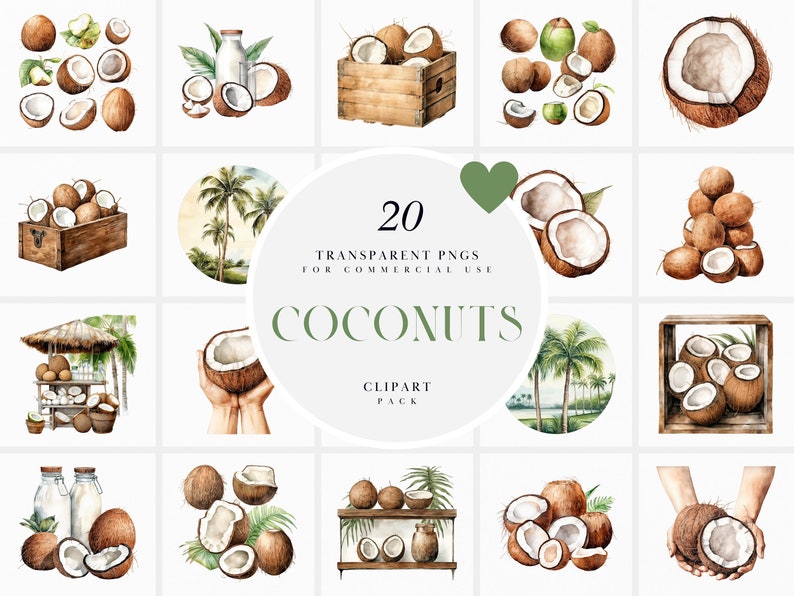 Watercolor Coconuts Clipart, Refreshing Coconut Clipart, Tropical ...