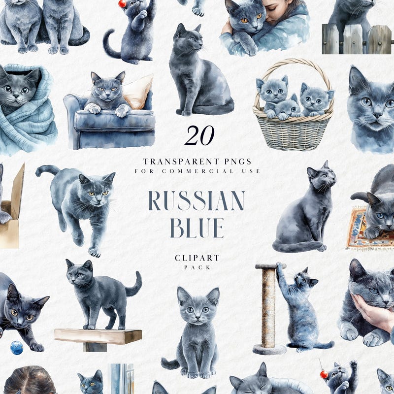 Grey Kitten Clipart - Etsy