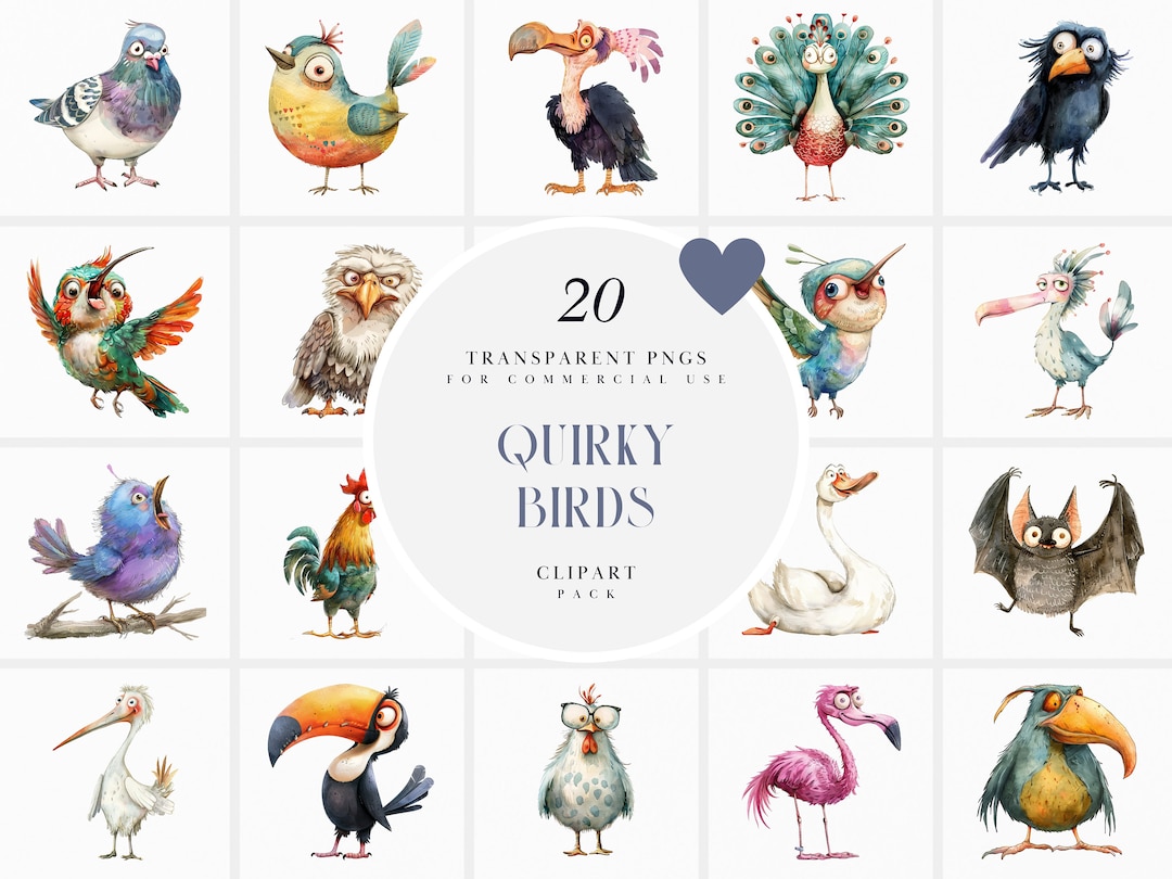Watercolor Quirky Bird Clipart, Cute Funny Birds Clipart, Whimsical ...
