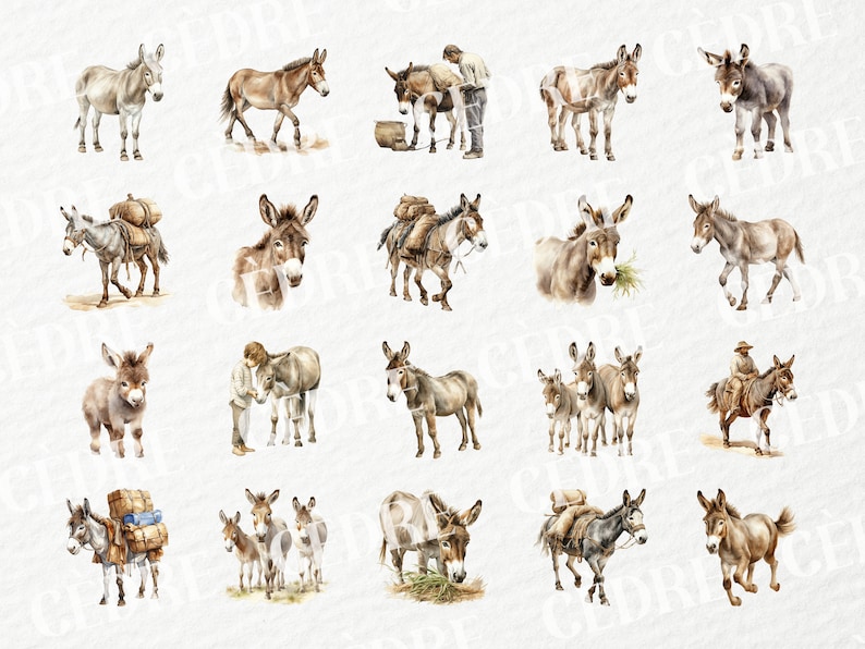 Watercolor Donkey Clipart, Donkeys Clipart, Happy Funny Donkey Clipart, Pet Baby Farm Donkey ...