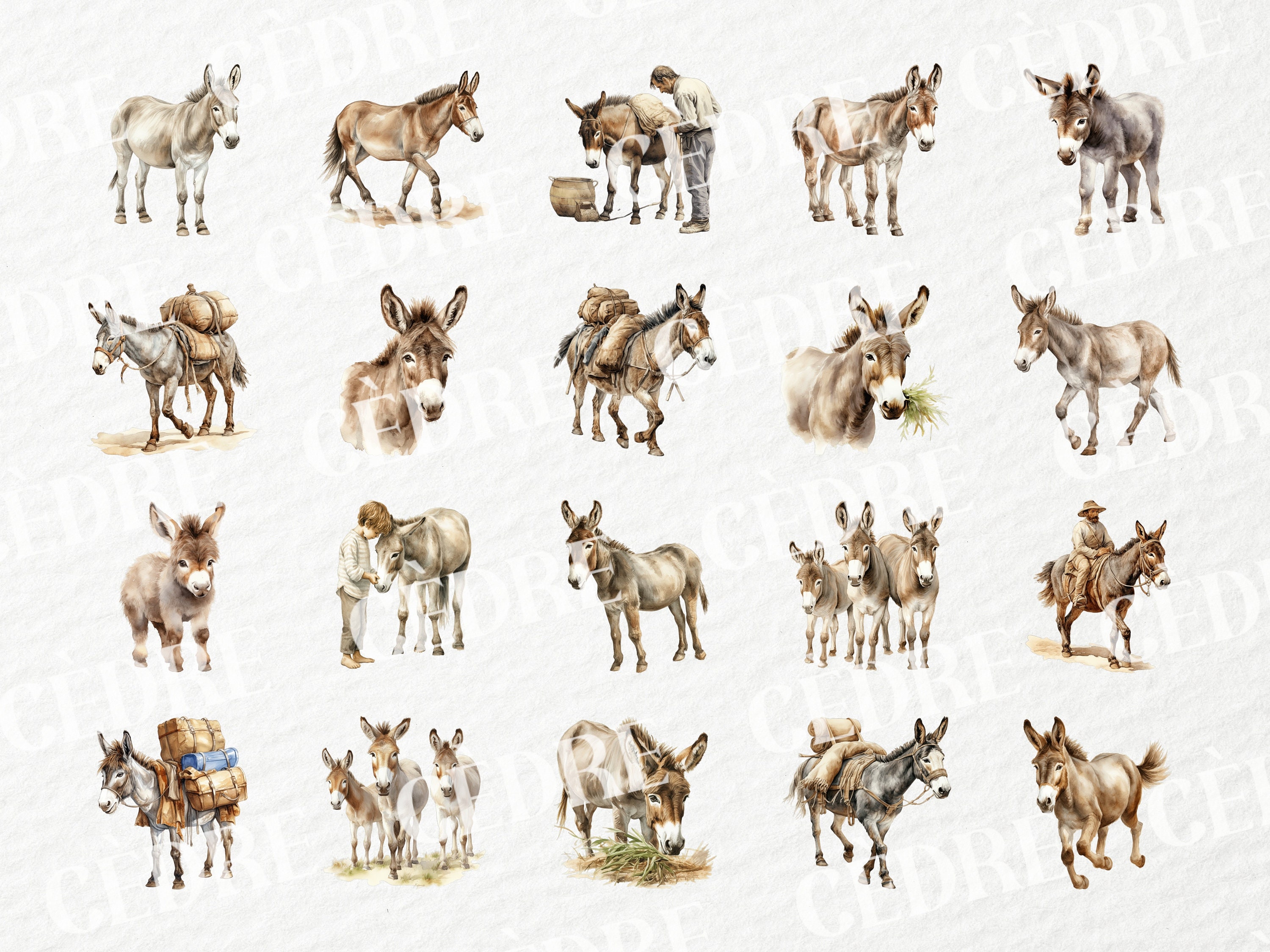 Watercolor Donkey Clipart, Donkeys Clipart, Happy Funny Donkey Clipart ...
