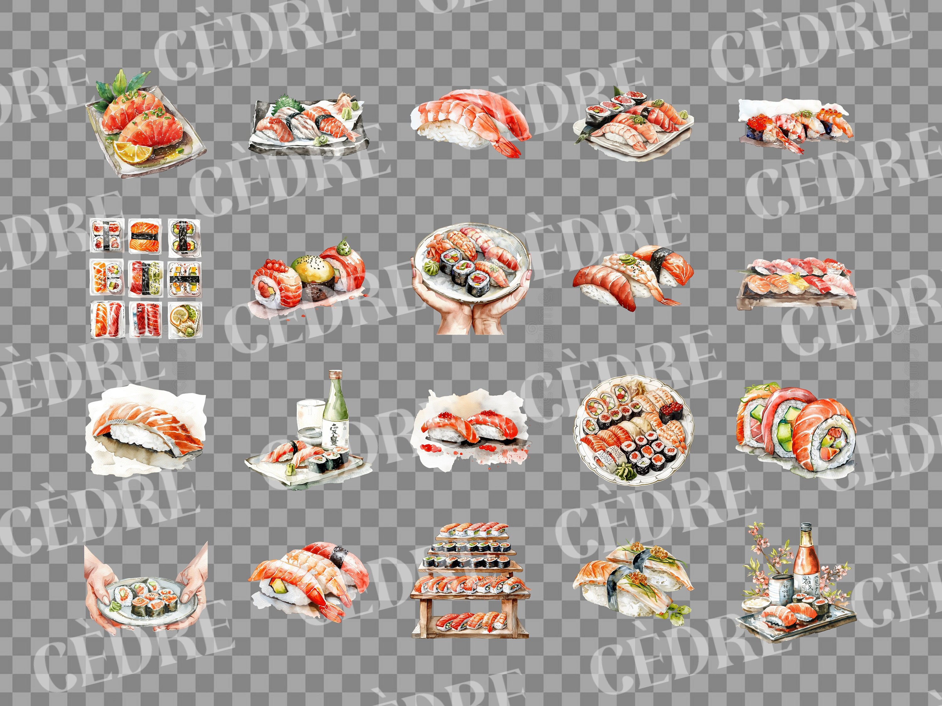 Watercolor Sashimi Clipart, Sashimi Platter, Raw Sea Food Sushi, Korean ...