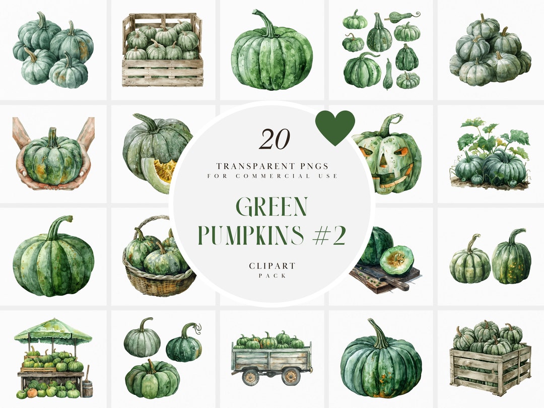 Watercolor Green Pumpkin Clipart, Green Pumpkins Clipart, Pumpkin Patch ...