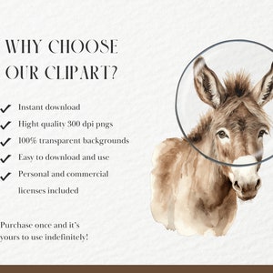 Watercolor Donkey Clipart, Donkeys Clipart, Happy Funny Donkey Clipart, Pet Baby Farm Donkey ...