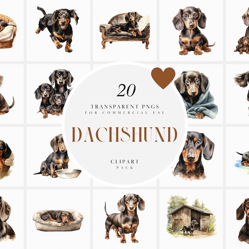Dachshund Clipart - Etsy