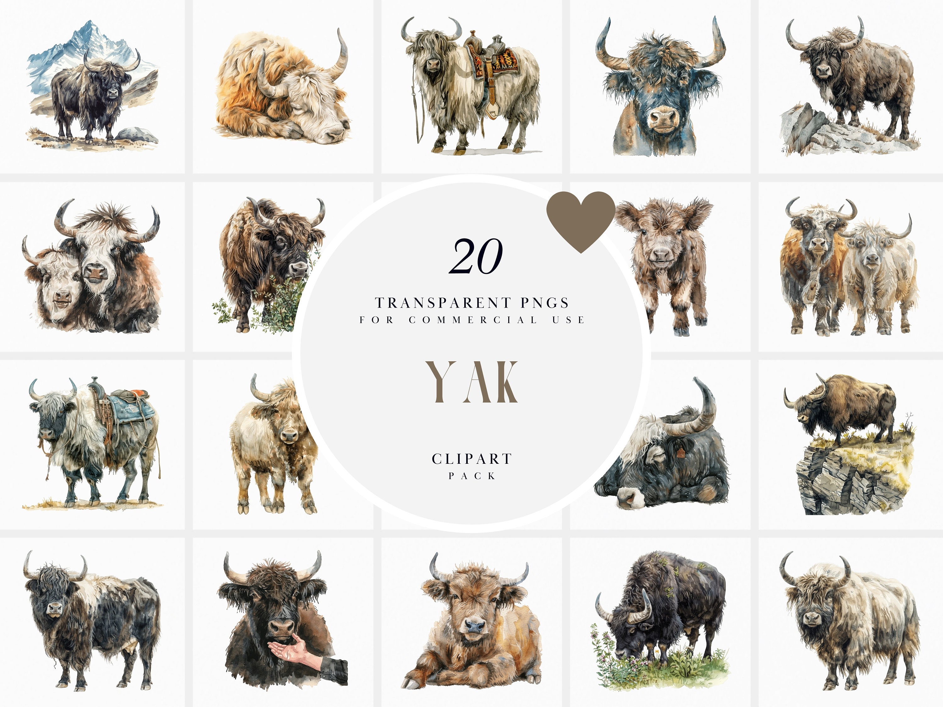Watercolor Domestic Yak Clipart, Highland Cow Clipart, Cattle Clipart ...