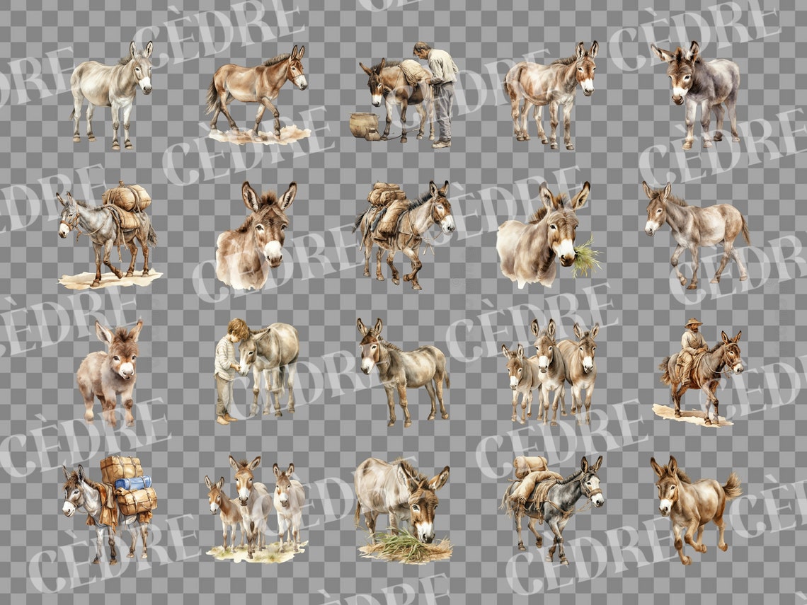 Watercolor Donkey Clipart, Donkeys Clipart, Happy Funny Donkey Clipart, Pet Baby Farm Donkey ...