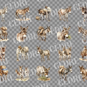 Watercolor Donkey Clipart, Donkeys Clipart, Happy Funny Donkey Clipart, Pet Baby Farm Donkey ...