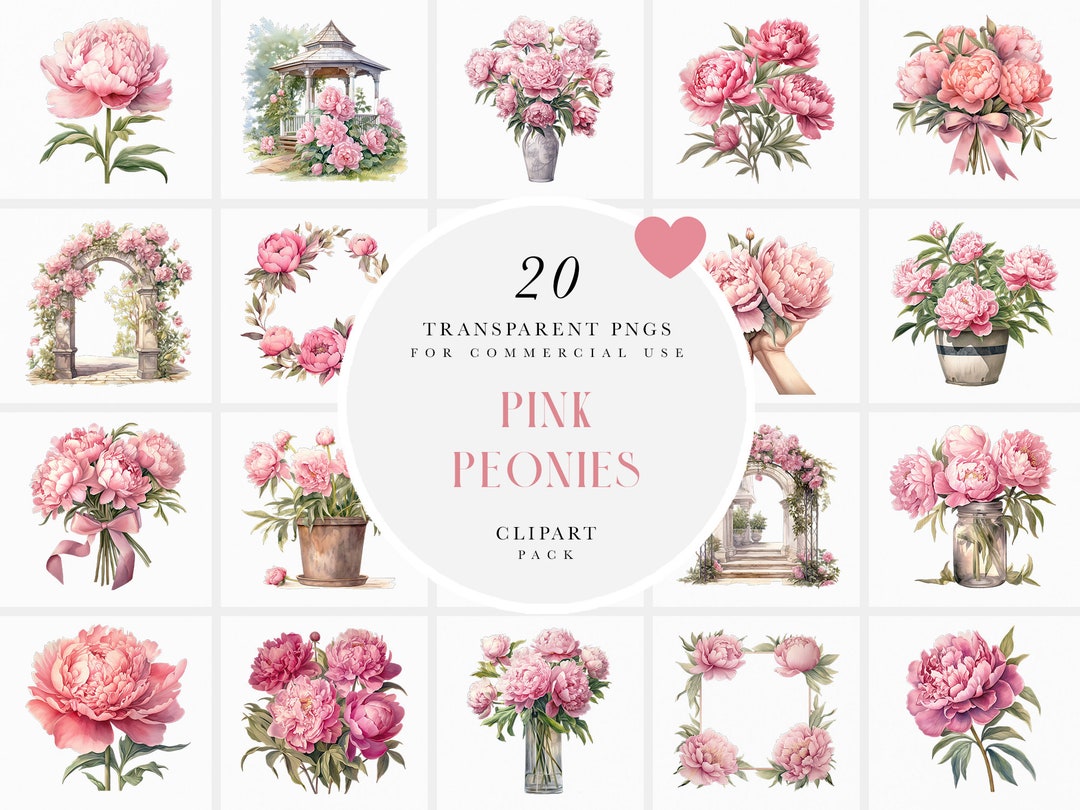 Watercolor Pink Peonies Clipart Bridal Pink Peony Clipart - Etsy
