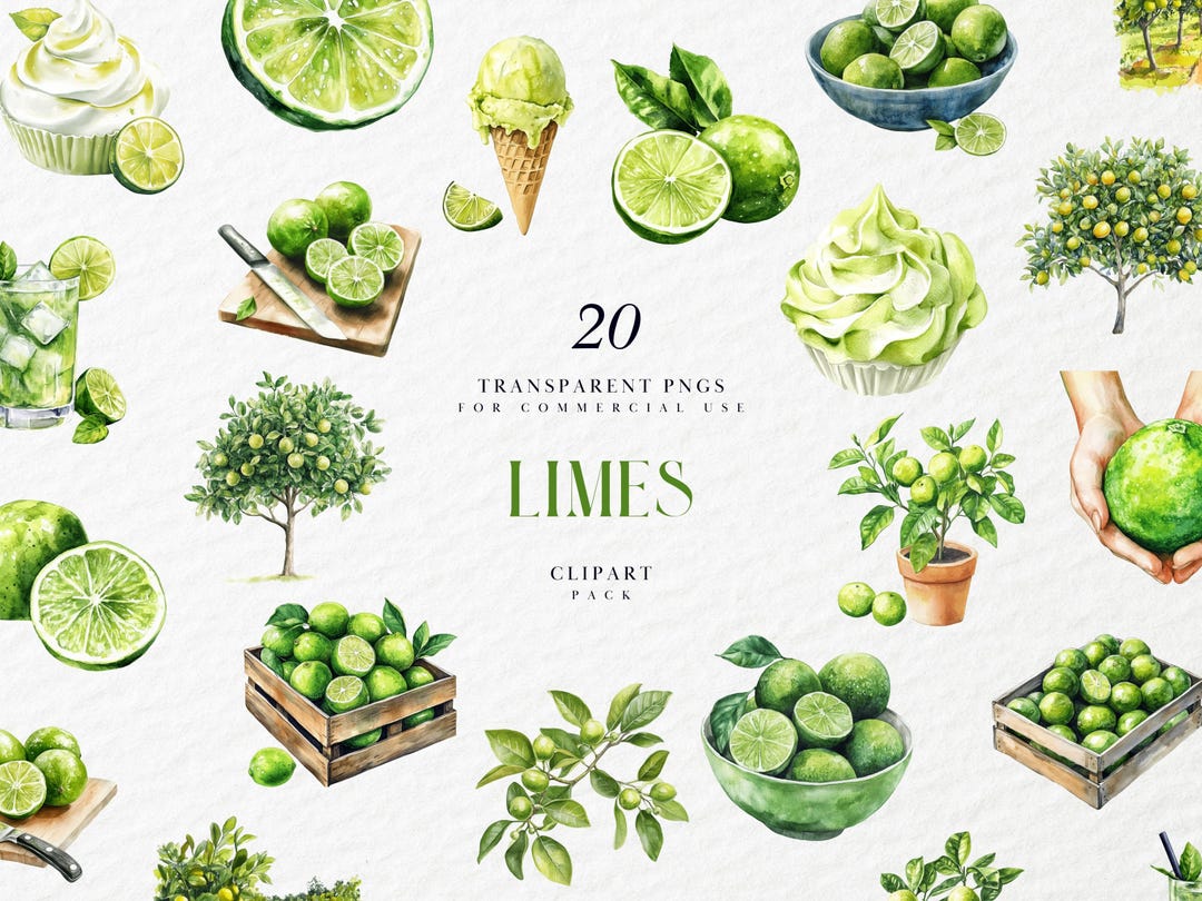 Watercolor Key Lime Clipart, Green Limes, Citrus Fruit, Summer, Slice ...