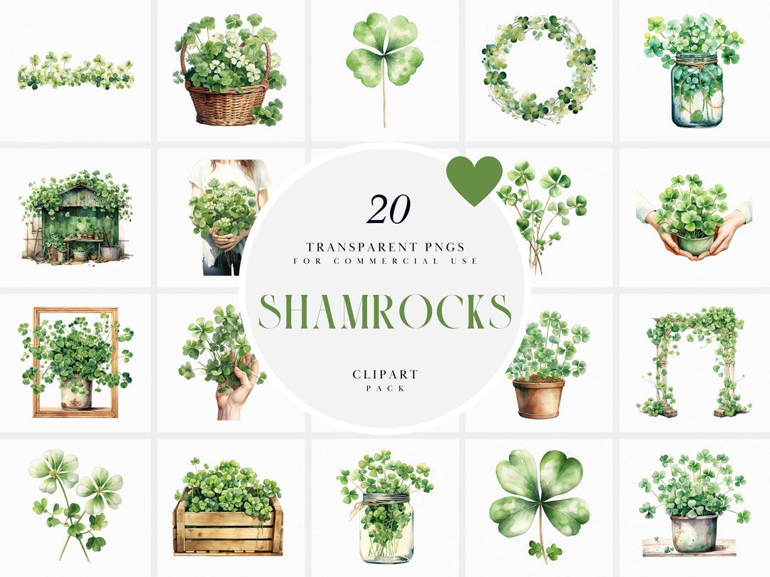 Watercolor Lucky Shamrock Clipart, Irish Shamrocks Clipart, Good Luck ...