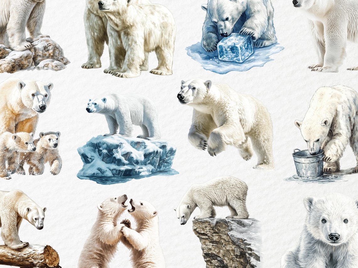 Watercolor Polar Bear Clipart, White Polar Bears Clipart, Realistic ...