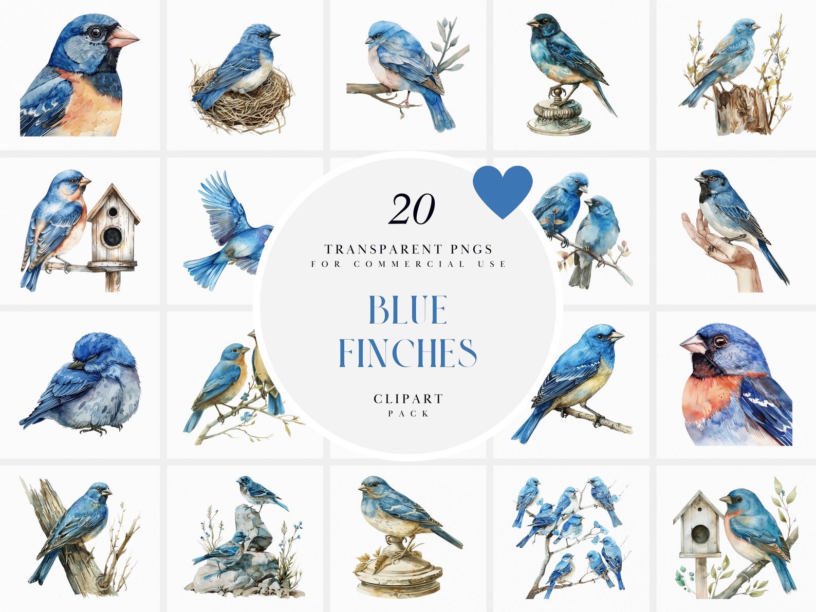 Watercolor Blue Finch Clipart, Flying Blue Finches Clipart, Chirping ...