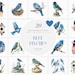Watercolor Blue Finch Clipart, Flying Blue Finches Clipart, Chirping ...