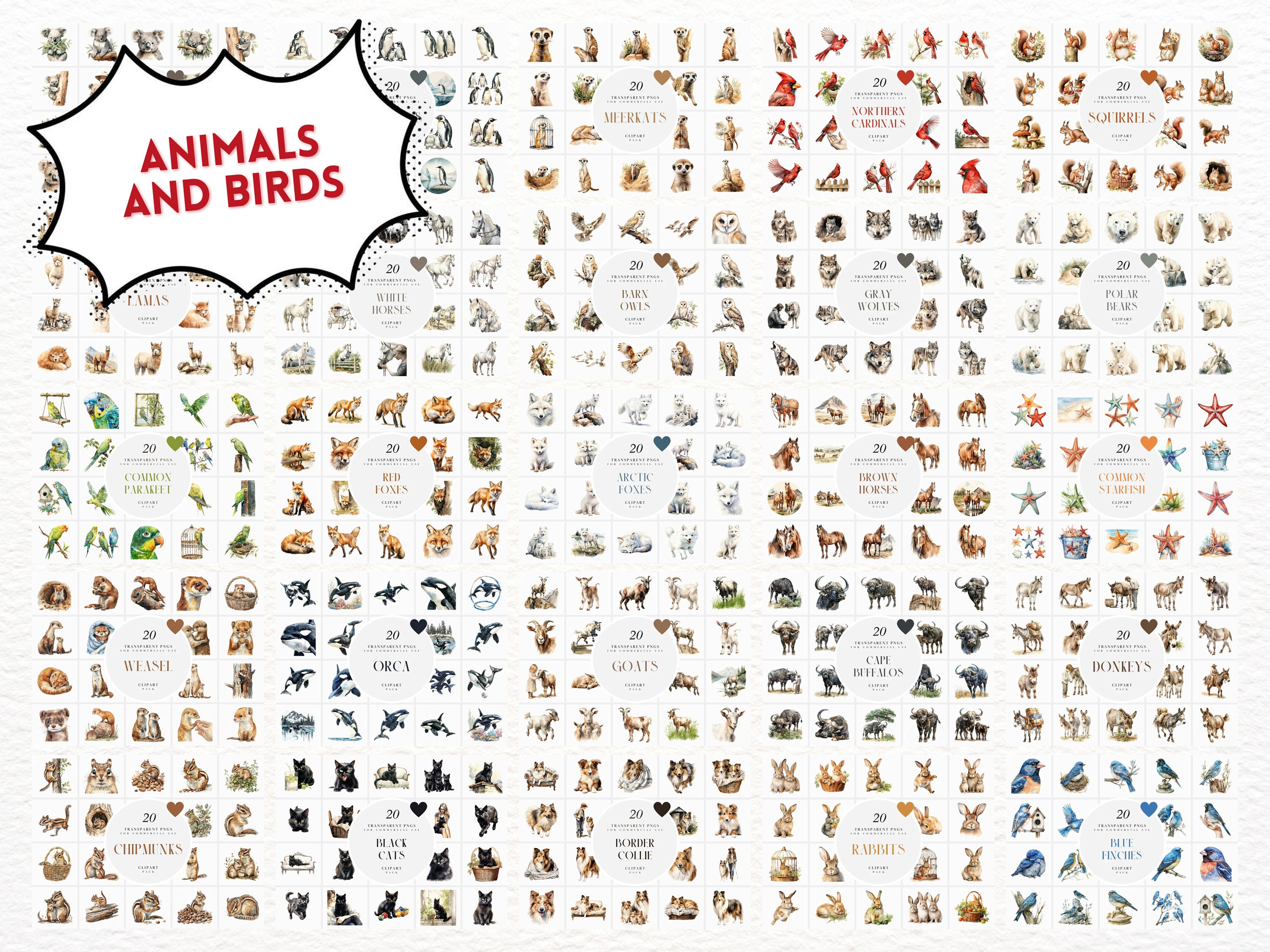 Whole Shop Mega Bundle, Entire Shop Bundle, 15,000 PNG Clipart Pack, Unlimited Shop Access, All ...