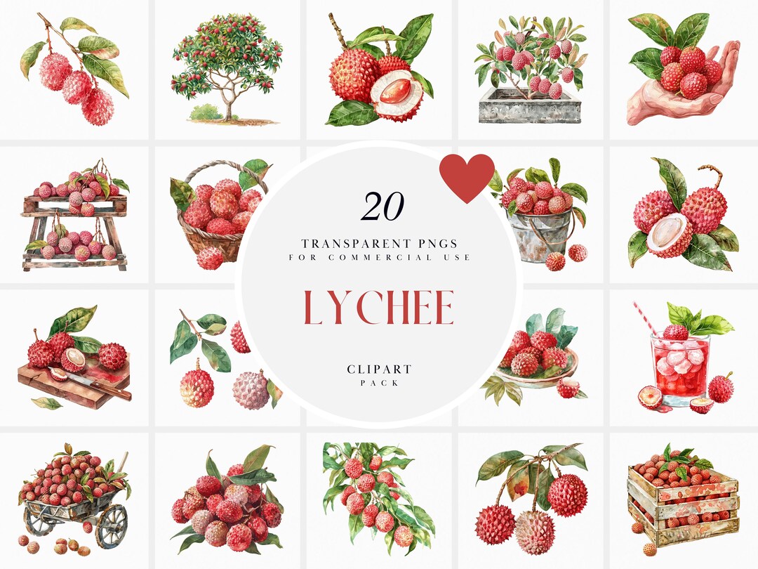 Watercolor Lychee Clipart, Tropical Fruit Plant, Sweet Lychees, Tree ...