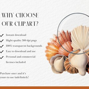 Watercolor Seashells Clipart, Mollusk Shellfish Clipart, Beach Starfish ...