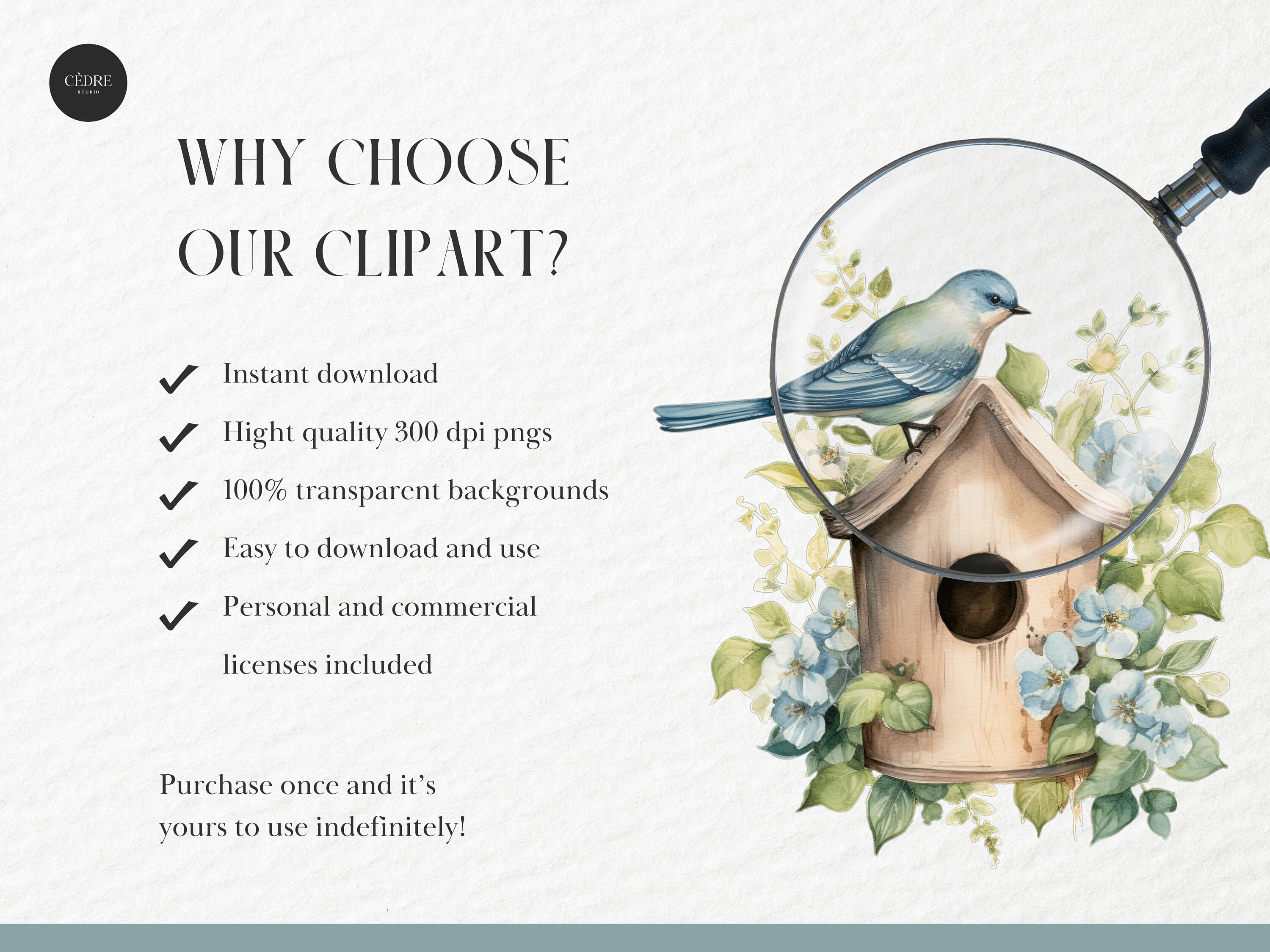 Watercolor Birdhouse Clipart, Backyard Garden Birdhouses Clipart ...