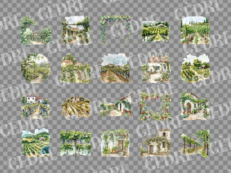 Watercolor Vineyard Clipart, Wine Fields and Landscapes Clipart, Vine ...