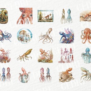 Watercolor Squid Clipart, Sea Life Squid Clipart, Squids Clipart, Under ...