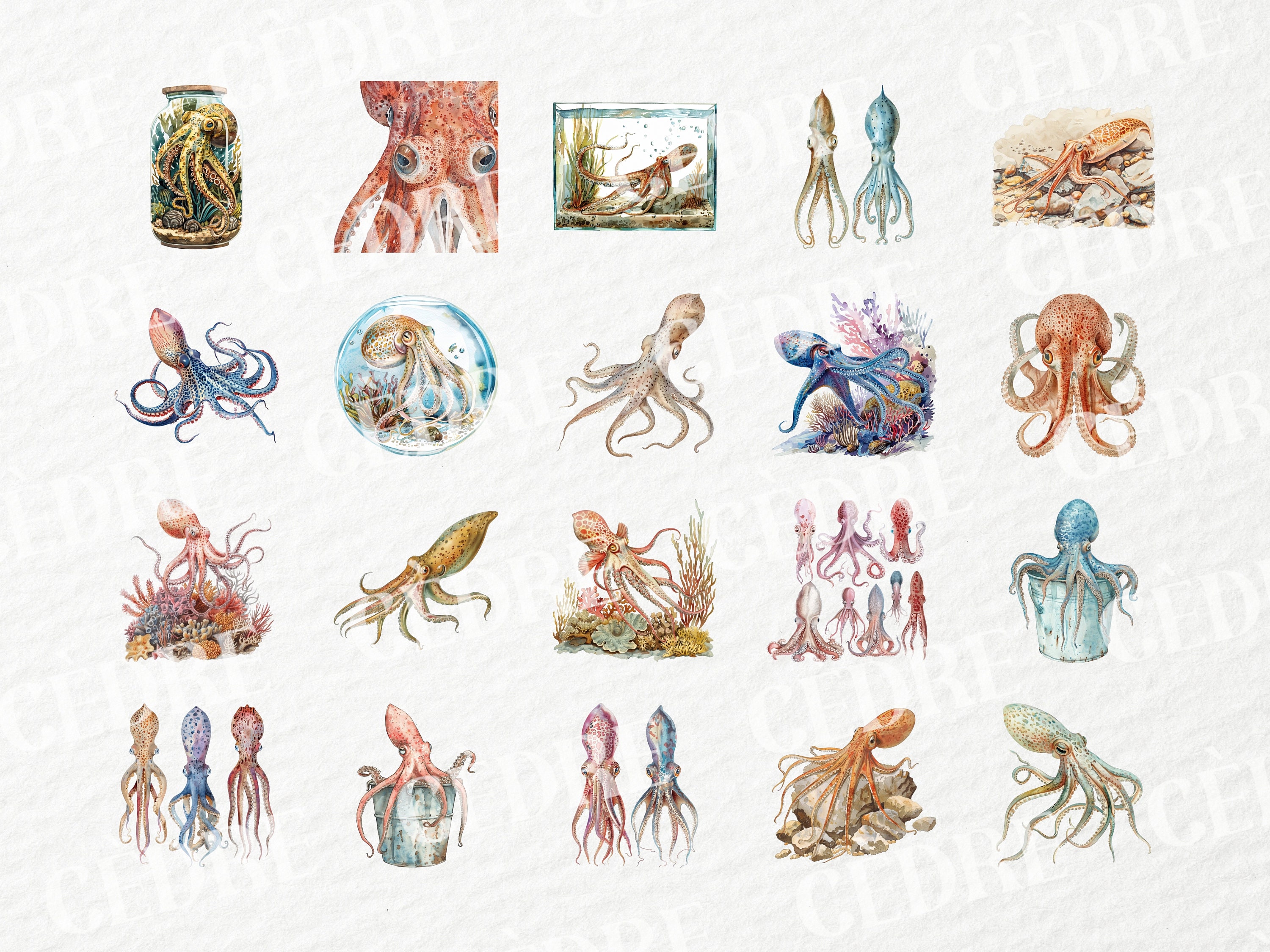Watercolor Squid Clipart, Sea Life Squid Clipart, Squids Clipart, Under ...