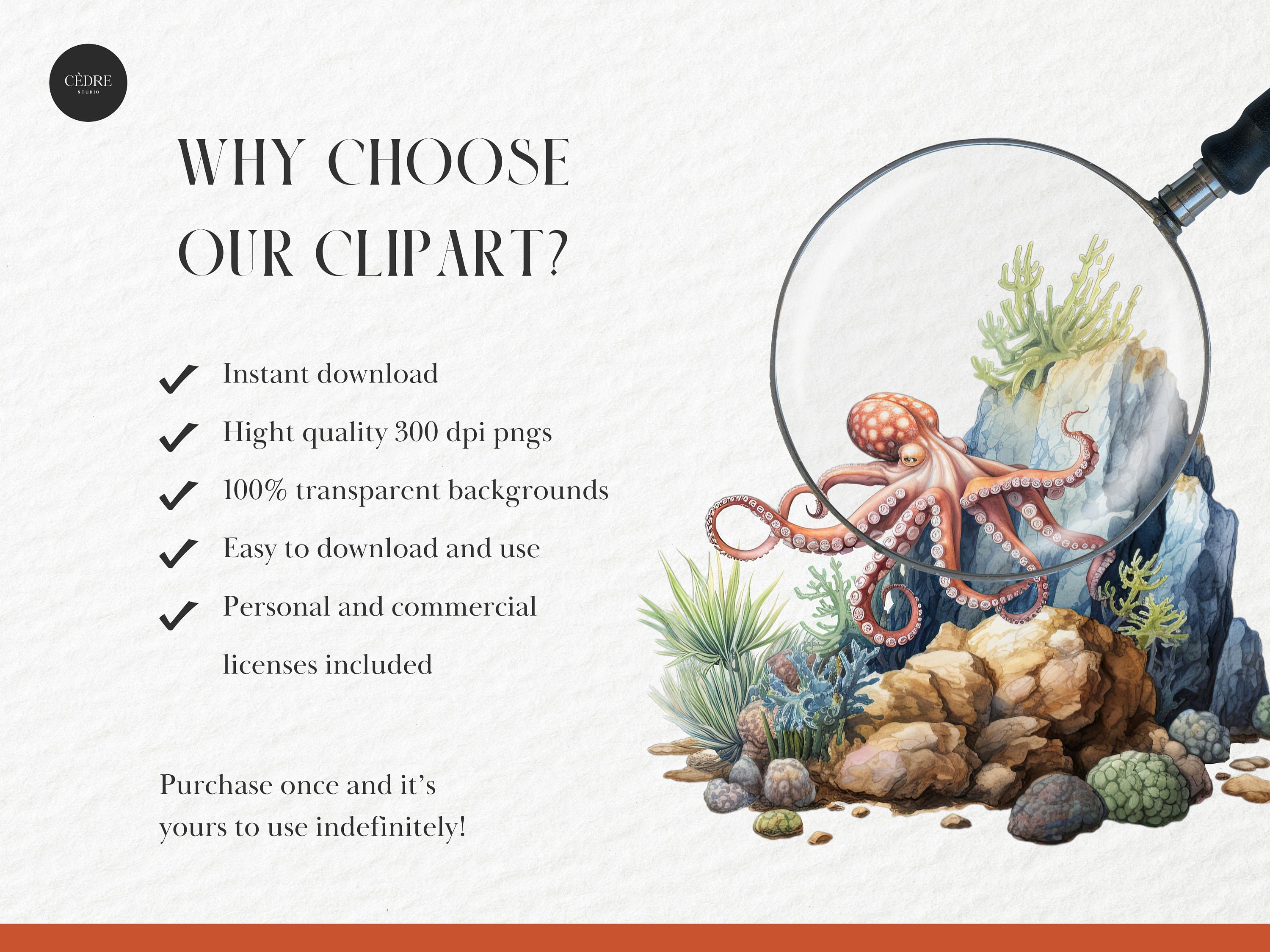 Watercolor Octopus Clipart, Sea Life Octopus Clipart, Under the Sea ...