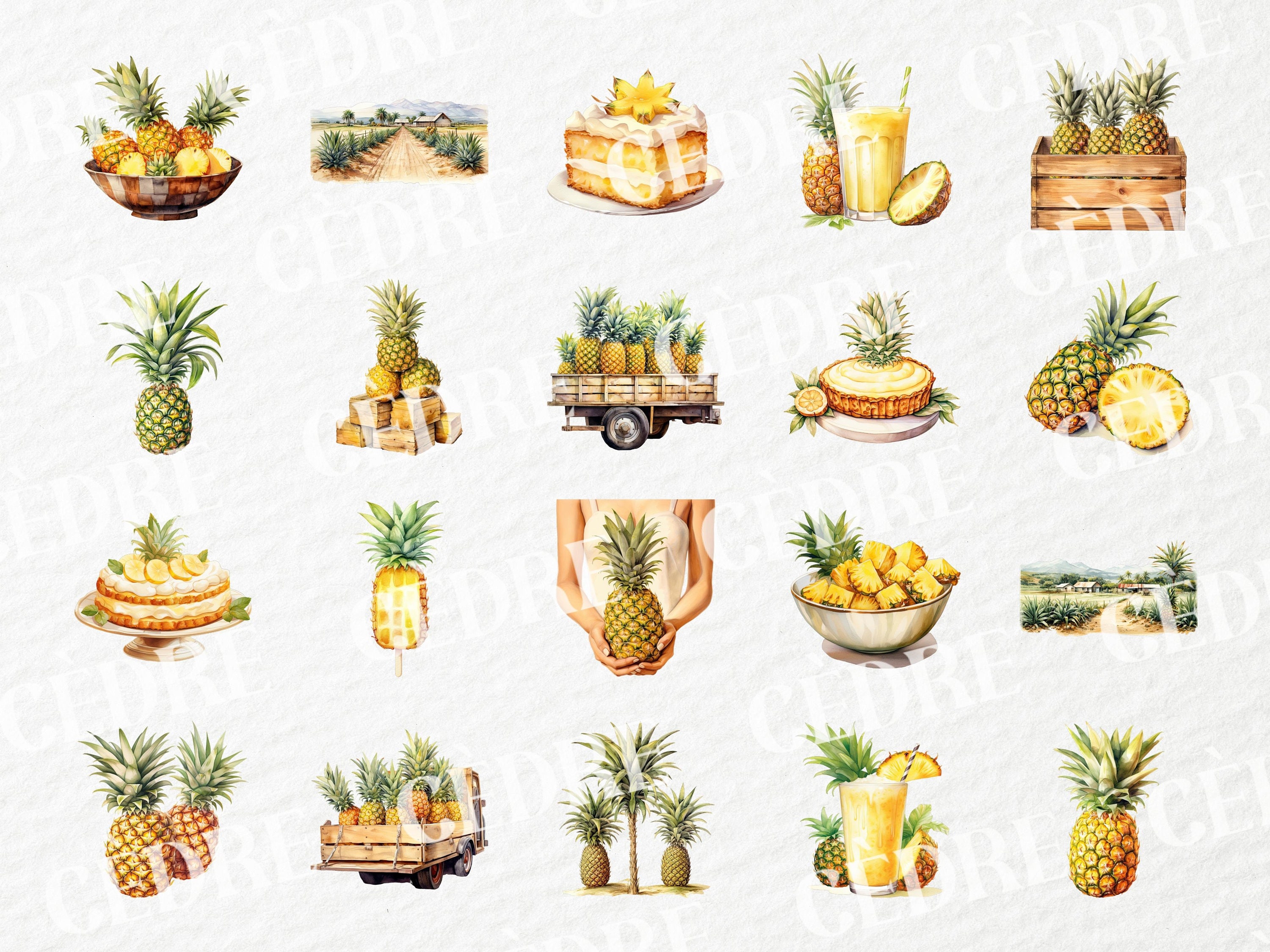 Watercolor Pineapple Clipart, Pineapples Clipart, Yellow Tropical ...