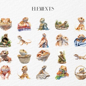 Watercolor Bearded Dragon Clipart, Pogona, Beardies, Lizard, Animal ...