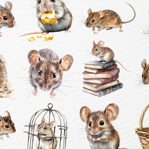 Watercolor Brown Mouse Clipart, Realistic, Rodents, Pets, House Mouse ...
