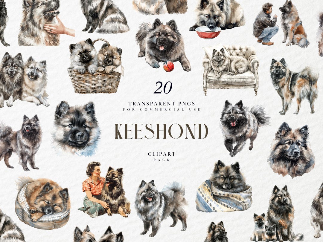 Watercolor Keeshond Dog Clipart, Dutch Barge Dog Clipart, Puppies Pup ...