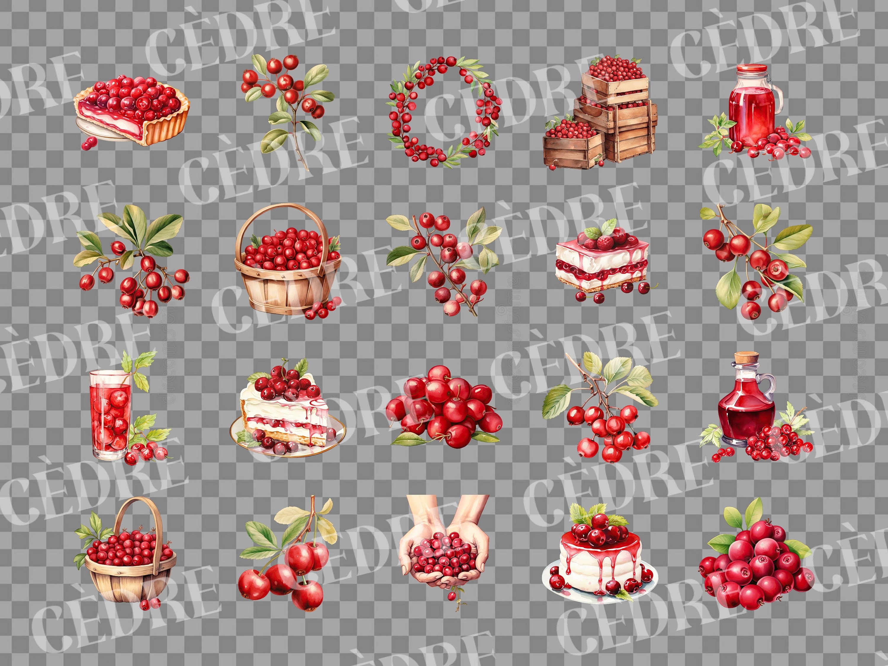 Watercolor Cranberries Clipart, Cranberry Clipart, Cherry Fruit Berries ...