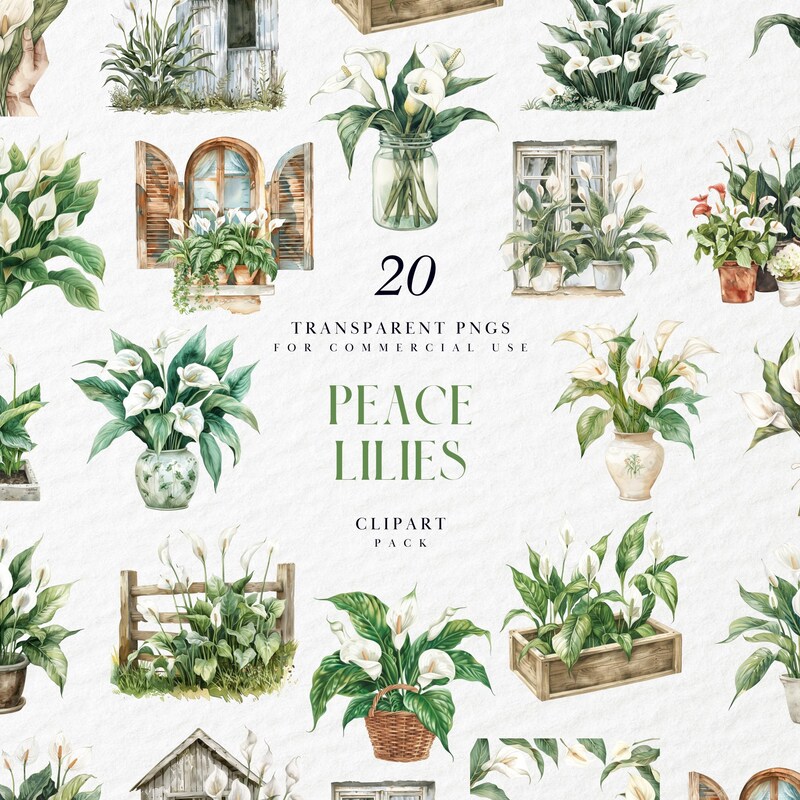 Peace Lilly Design - Etsy