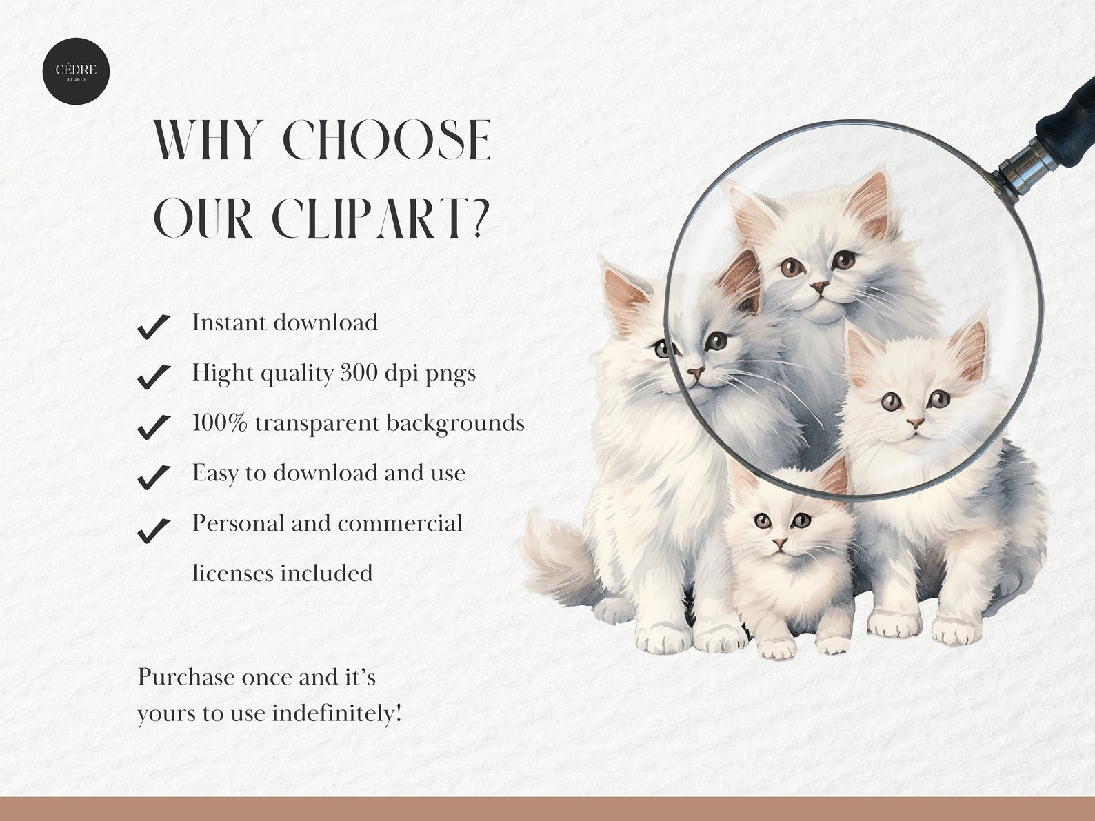 Watercolor White Cat Clipart, Cute White Cats Clipart, White Kittens ...