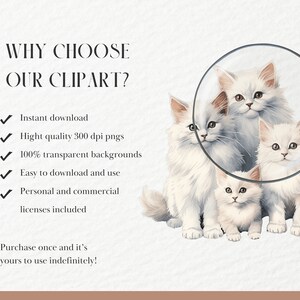 Watercolor White Cat Clipart, Cute White Cats Clipart, White Kittens ...