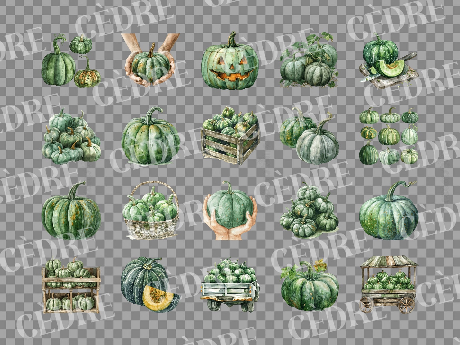 Watercolor Green Pumpkin Clipart, Green Pumpkins Clipart, Invite Card ...